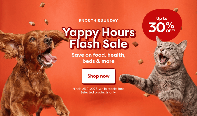 Shop Yappy Hours | Australia’s #1 Pet Store | Pet Circle
