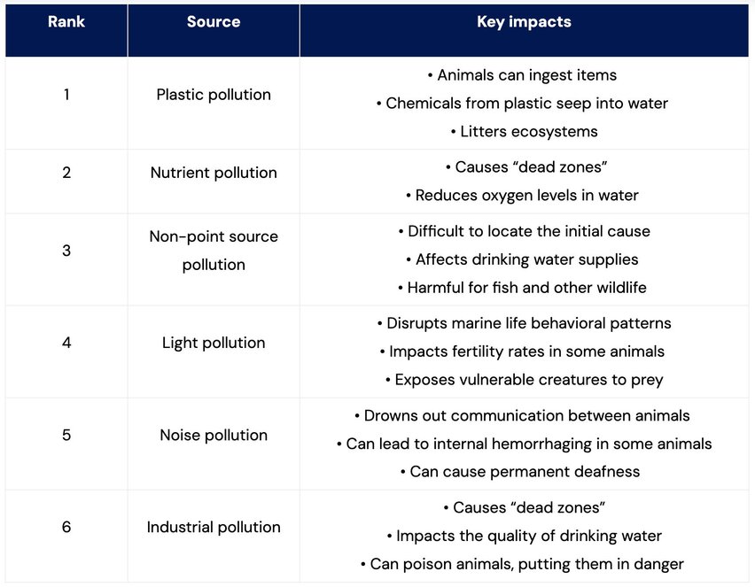 What Are the 6 Most Common Sources of Ocean Pollution? | CleanHub