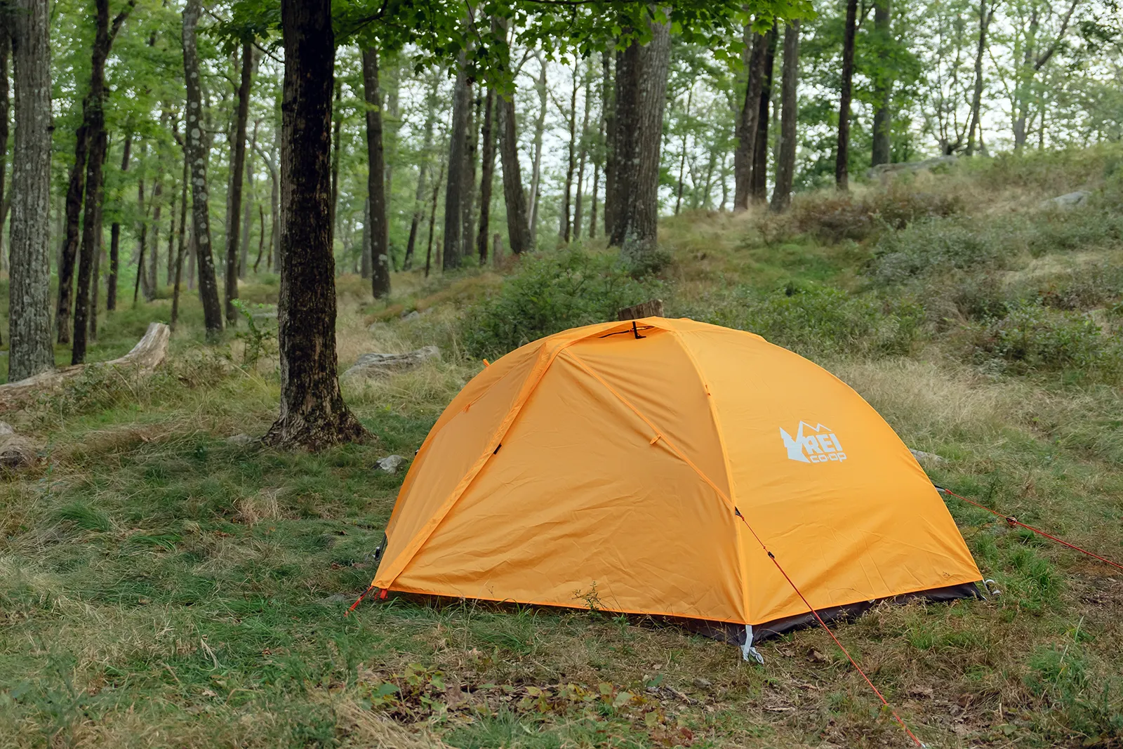 REI Co-op Trail Hut 2 Tent Review | Better Trail