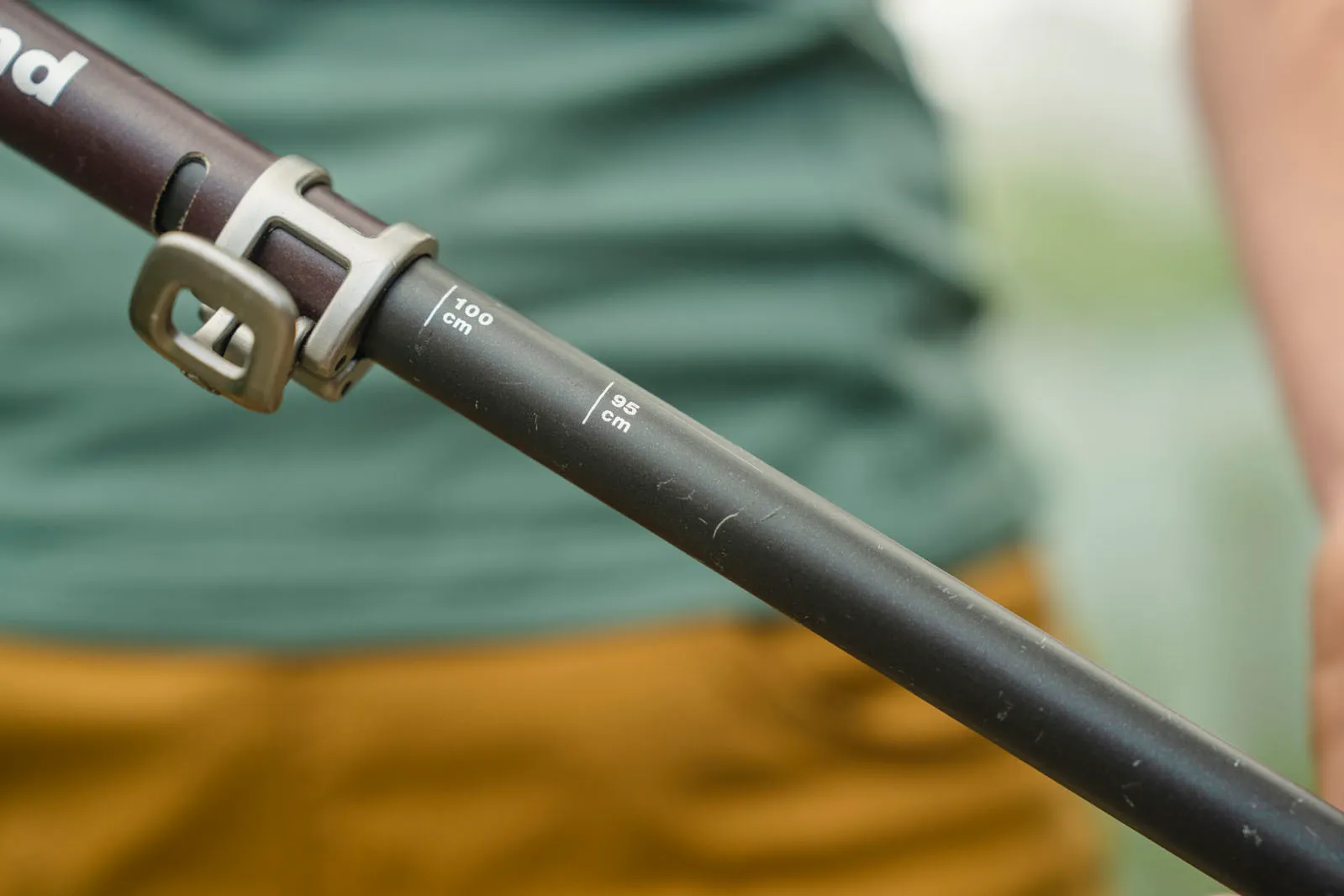 Black Diamond Alpine Carbon Cork Trekking Pole Review | Better Trail