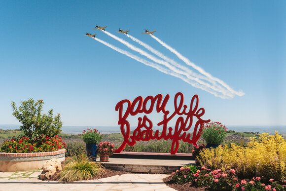 DAOU Vineyards | Stories: Summer is Paso Robles