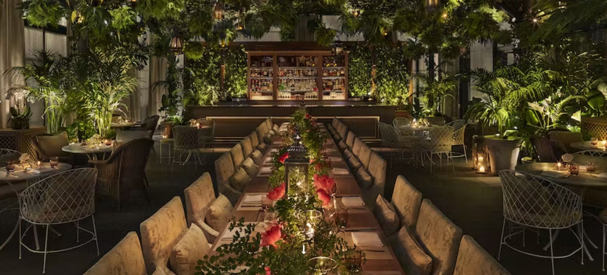 How JF Restaurant Group Saves 80 Hours/Month with TipHaus