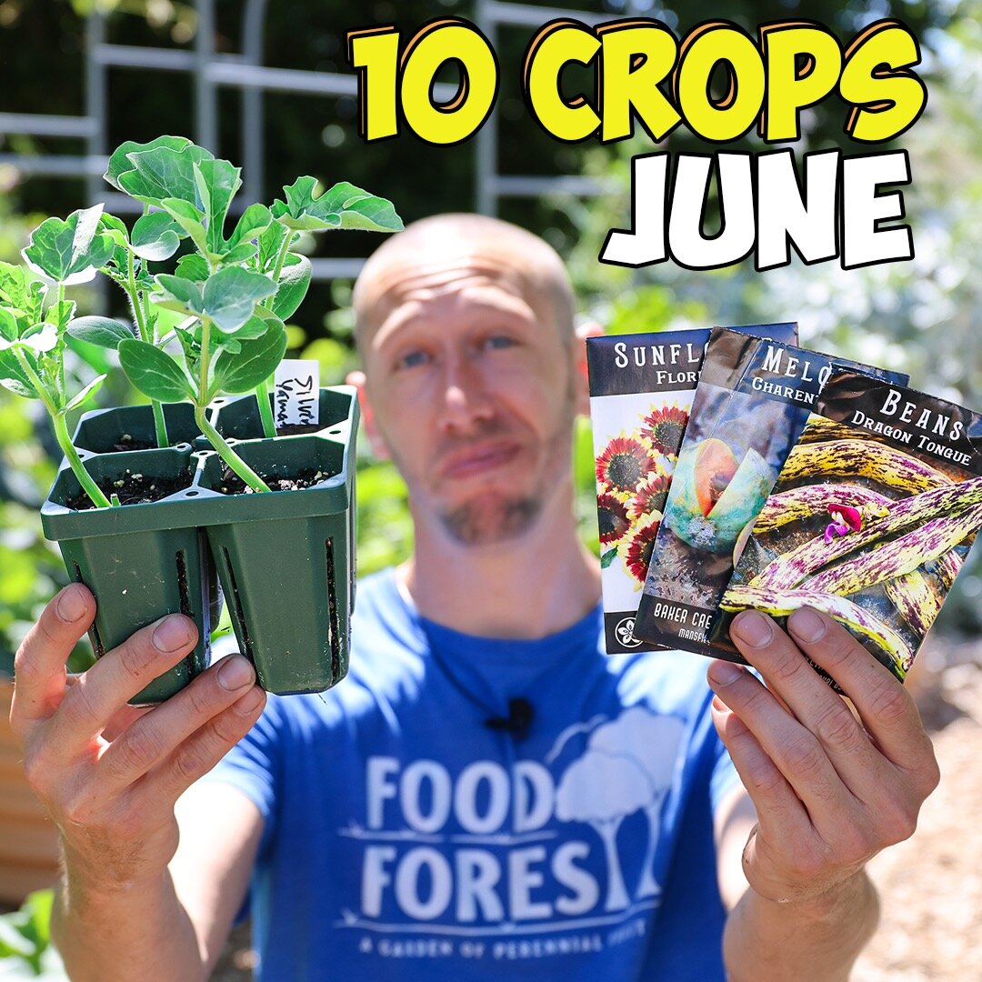 10 Fast Growing Crops