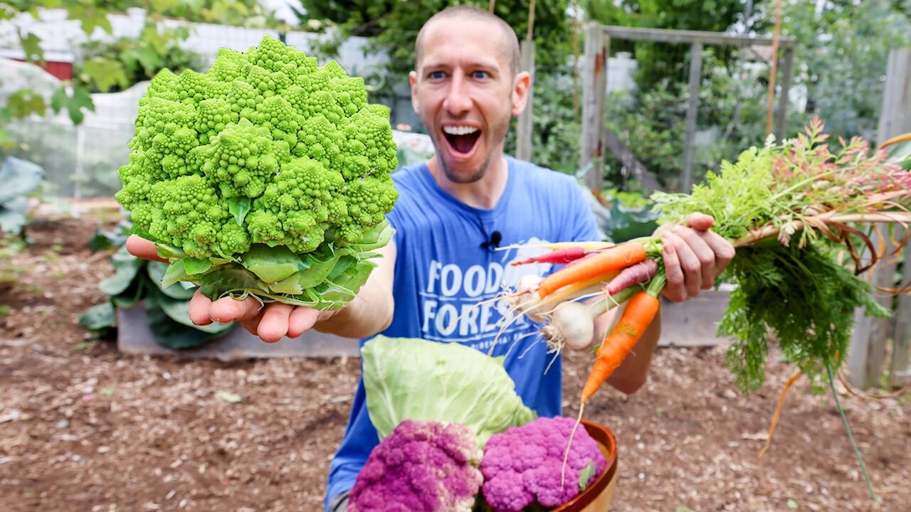 10 Valuable Crops You Should ALWAYS Be Planting In The Cold