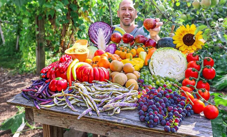 The Seven Layers of a Food Forest: Create a Thriving Backyard Ecosystem