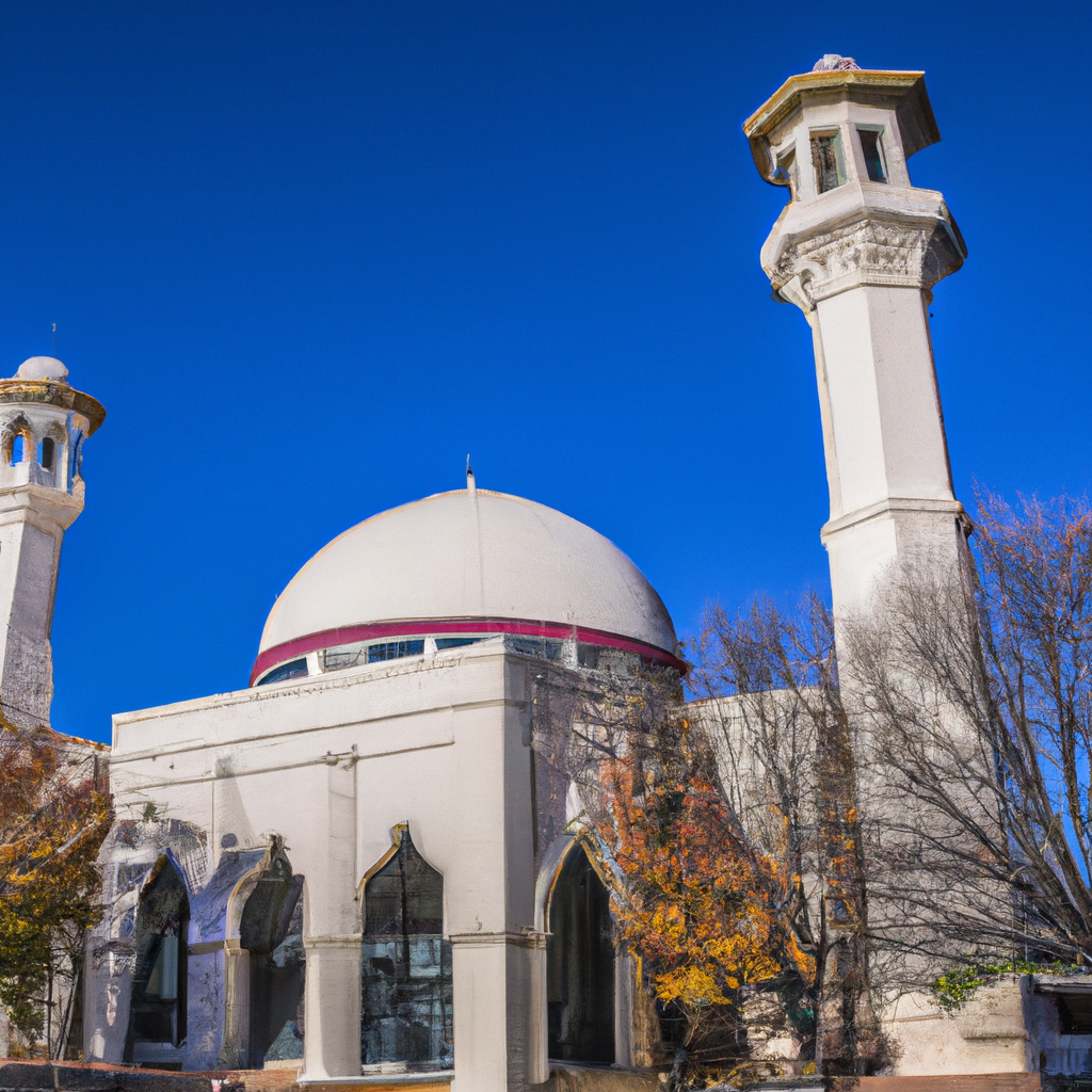 Muslim population & mosques in the USA | Statistics by state | LaunchGood