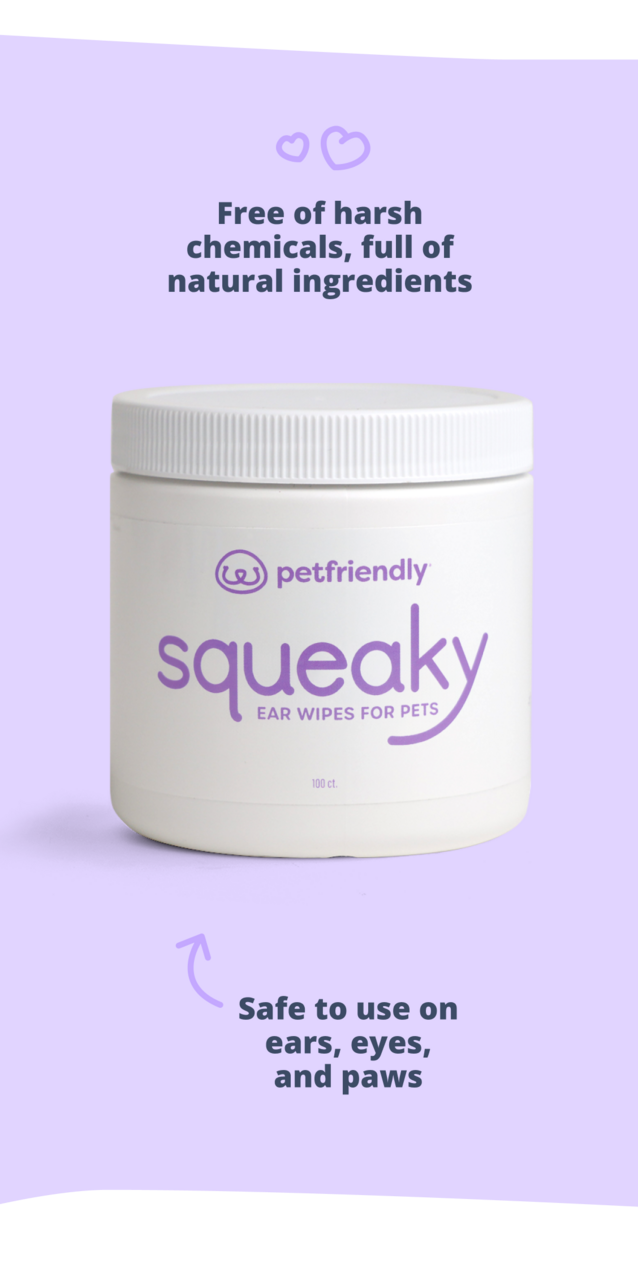 Squeaky Dog Ear Wipes | Gentle Pet Wipes for Dogs - PetFriendly Box