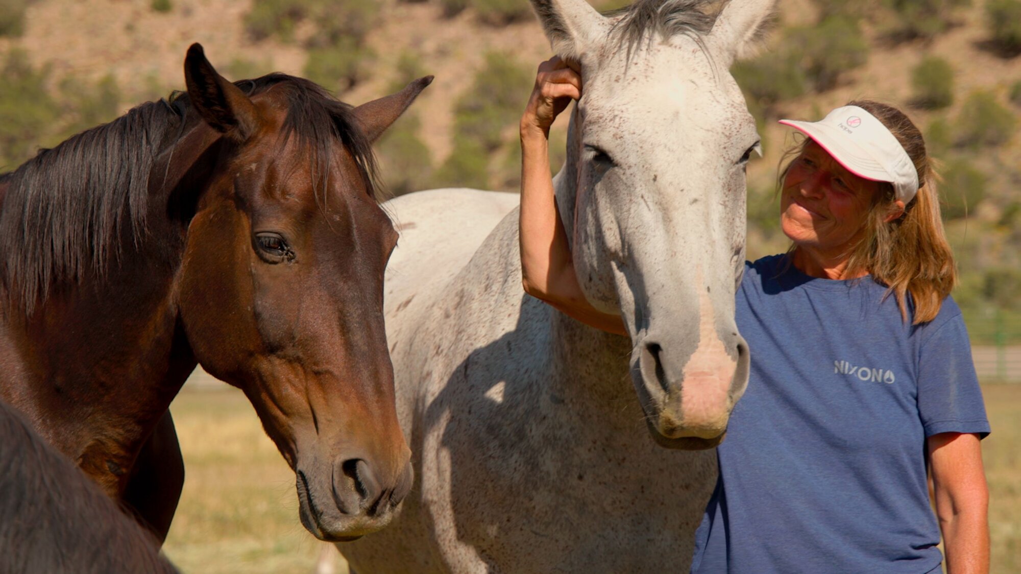 In Montrose, horse therapy helps teenage girls say 'no' | Rocky ...