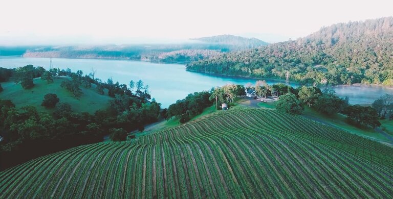 Discover Lewis Cellars | Crafted for Discerning Taste | Lewis Cellars