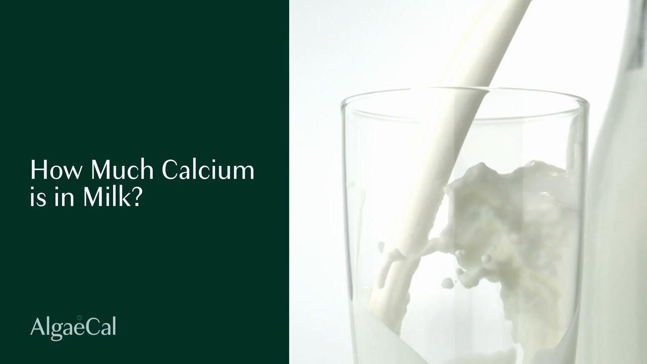 How Much Calcium is in Milk? Popular Milk Types Compared | AlgaeCal