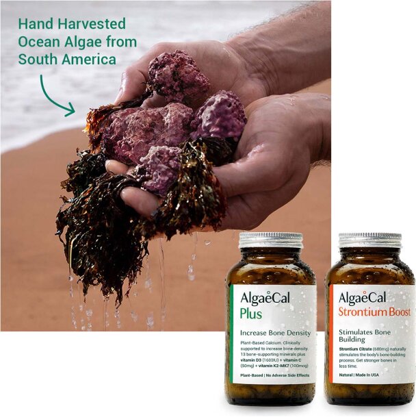 Increase Bone Density Guaranteed