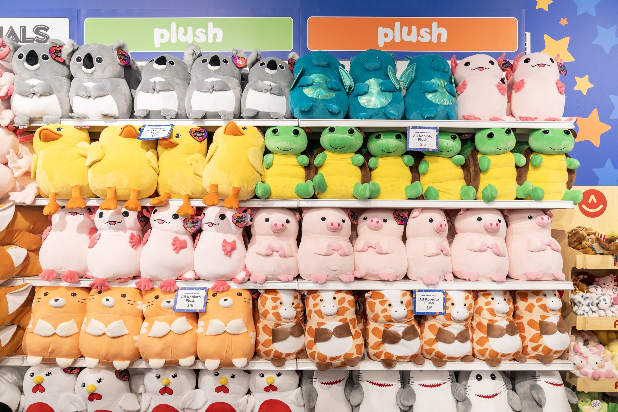 Guests enjoying a Go! Retail Group store experience