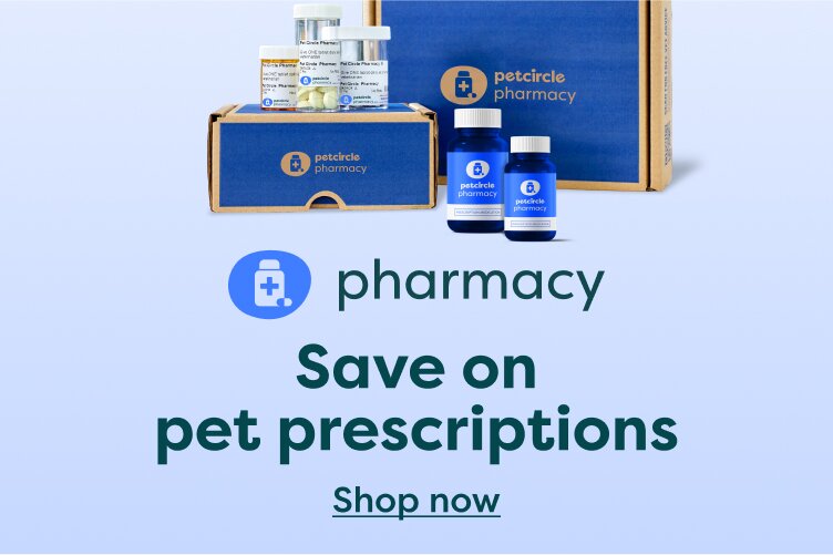 Firocoxib (Previcox/Prevequine) for Dogs & Horses: Medication Guide ...