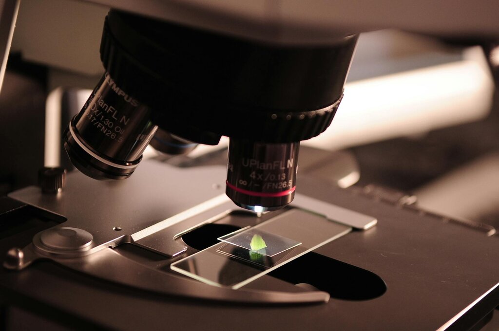 Yellow Dog Poo Explained: Causes, Symptoms, and Vet Advice | Australia ...