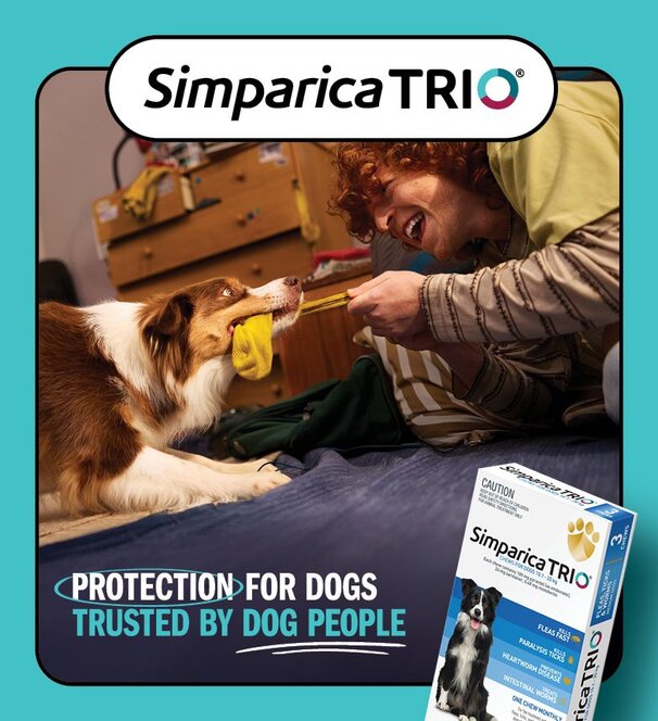 Shop Simparica Trio | Flea, Tick, Worm & Heartworm Protection for Dogs ...