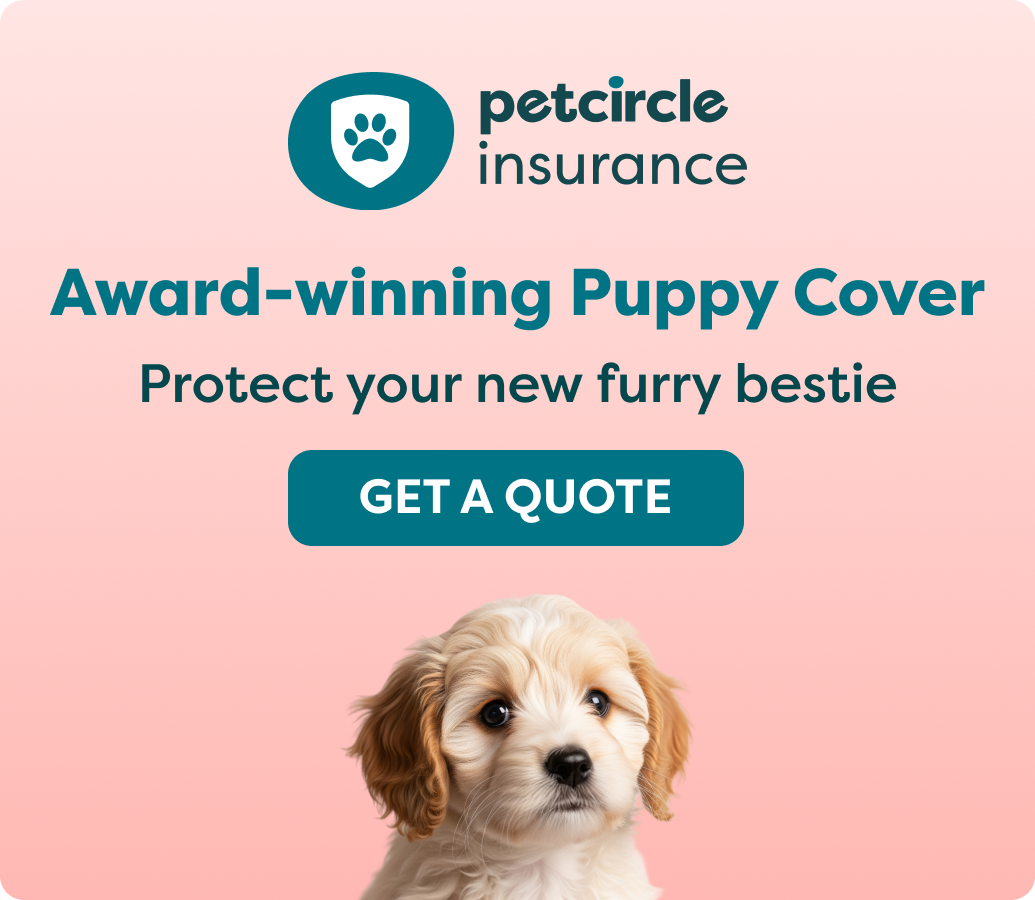 How to Stop Your Puppy from Biting | Australia’s #1 Pet Store | Pet Circle