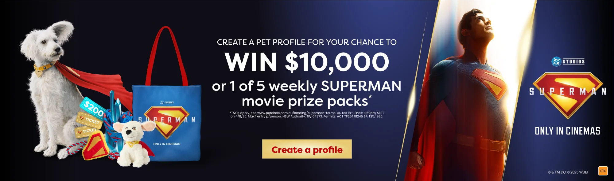 SUPERMAN movie x Pet Circle