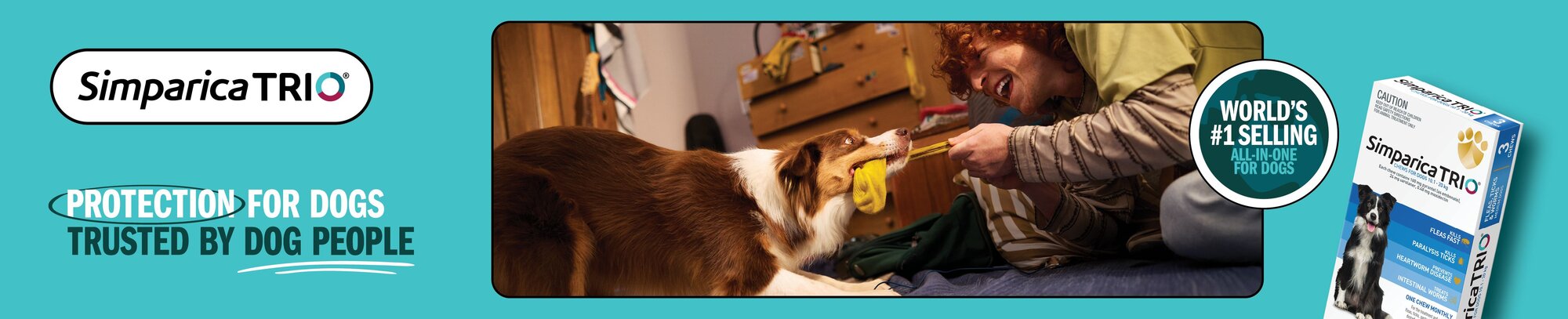 Online Pet Shop | Food, Toys, Flea & Worming | Pet Circle