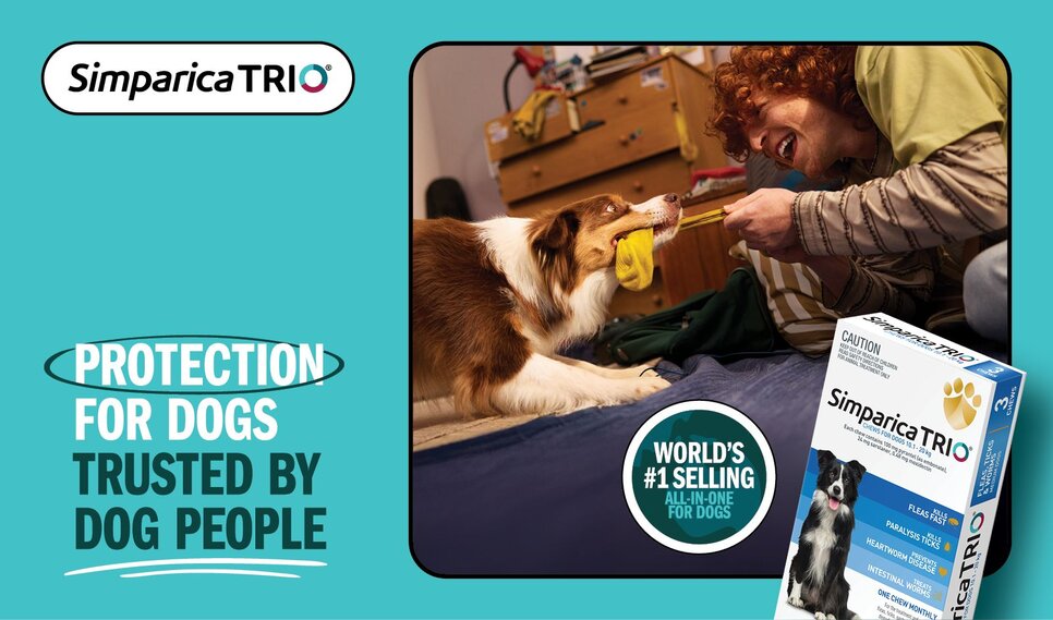 Shop Simparica Trio | Flea, Tick, Worm & Heartworm Protection for Dogs ...