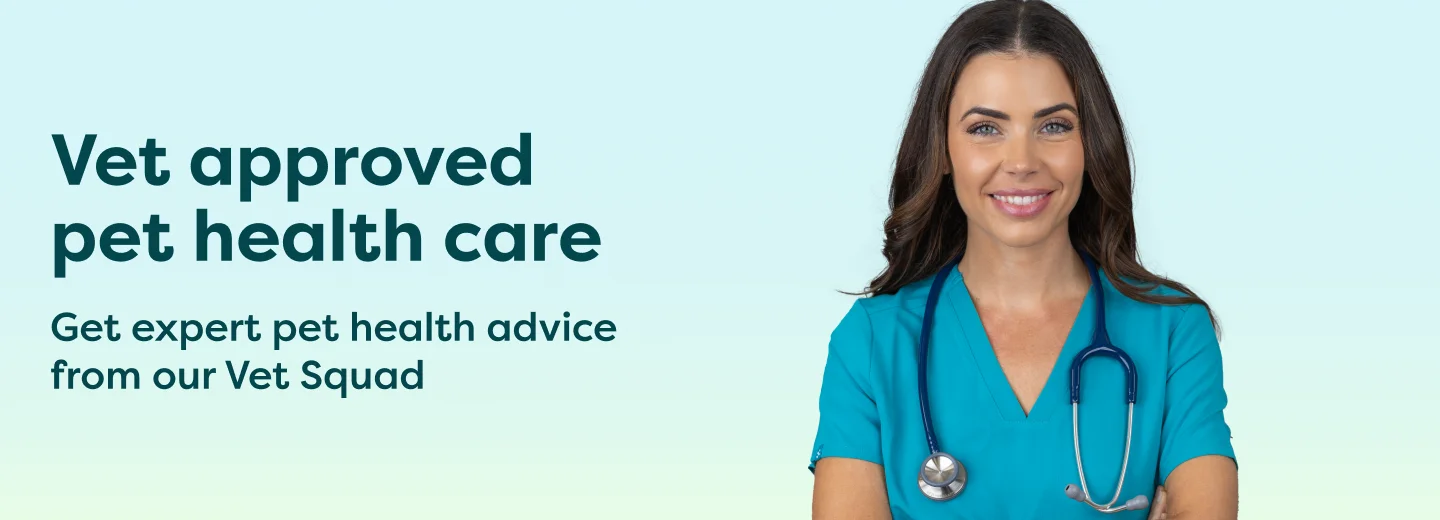 Online Pet Shop | Food, Toys, Flea & Worming | Pet Circle