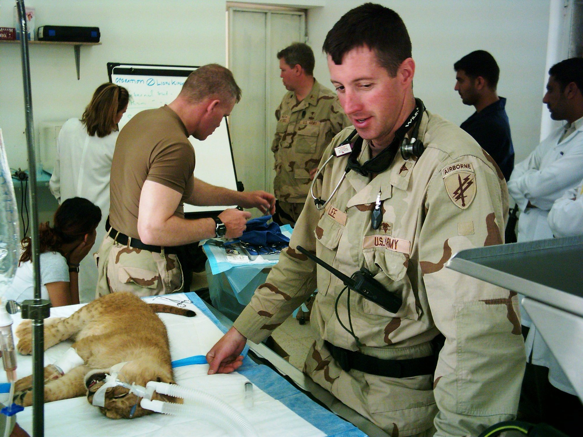 Don’t Feed the Lions: The Unbelievable Rescue at the Baghdad Zoo ...
