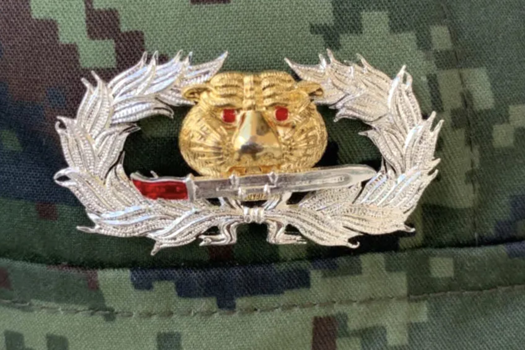 US Army Special Forces Soldier Graduates From Brutal Thai Ranger School ...