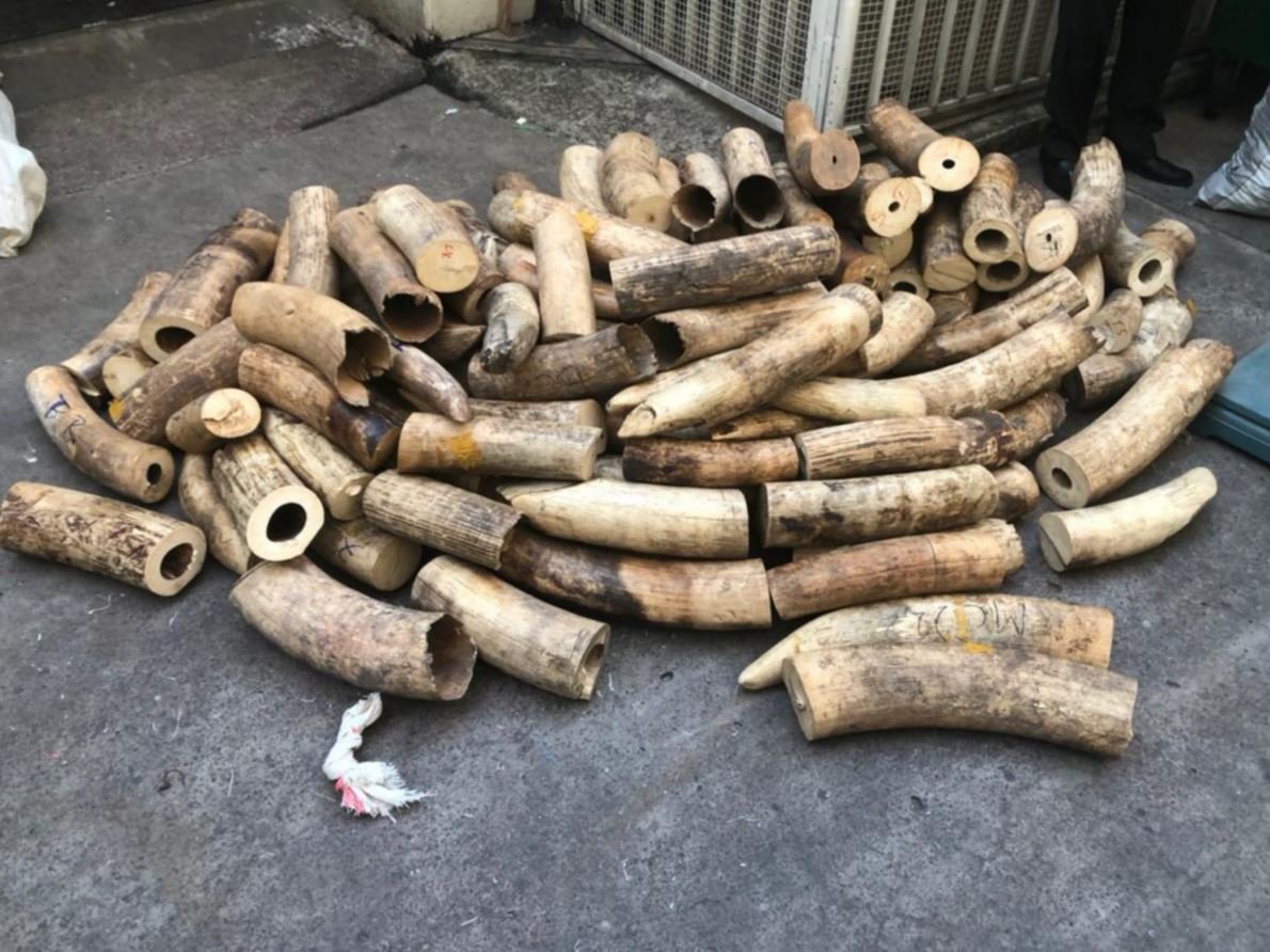 Operation Kuluna: Federal Sting Targets Traffickers Smuggling ...