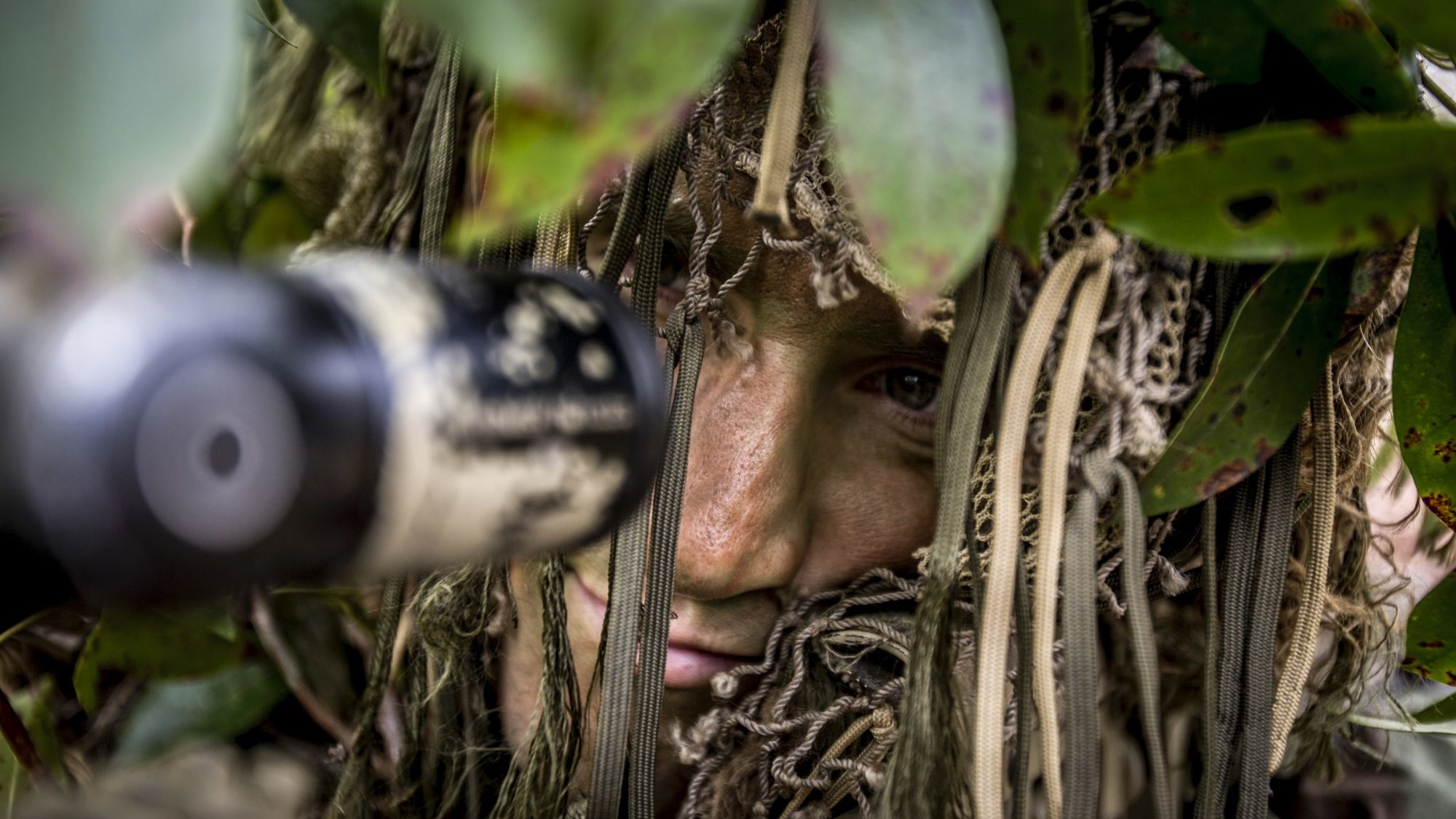 How PIGs Become HOGs — A Visual Journey in Marine Corps Scout Sniper ...