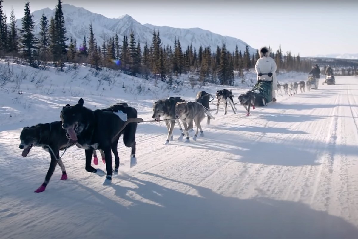 Frozen Trident: A Navy SEAL’s Sled-Dog Operation on the Icy Edge of the ...