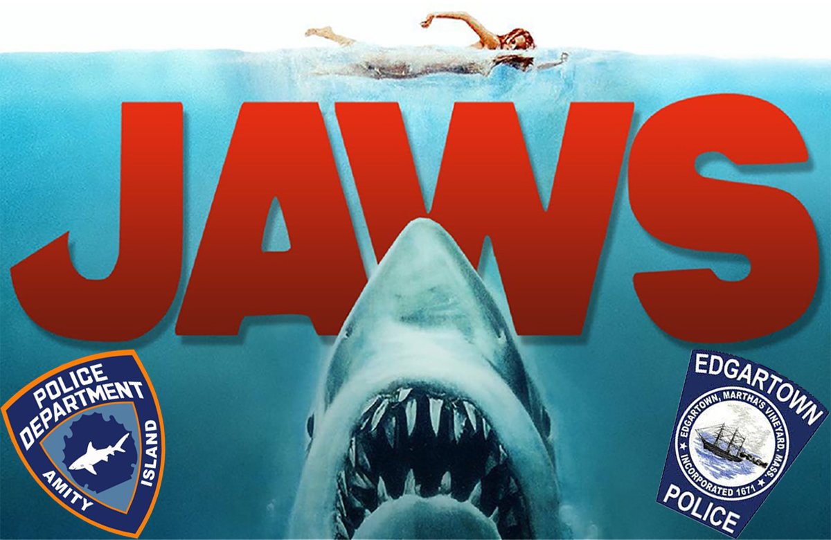 50 Years Later, Kid From ‘Jaws’ Named Police Chief on Martha’s Vineyard ...