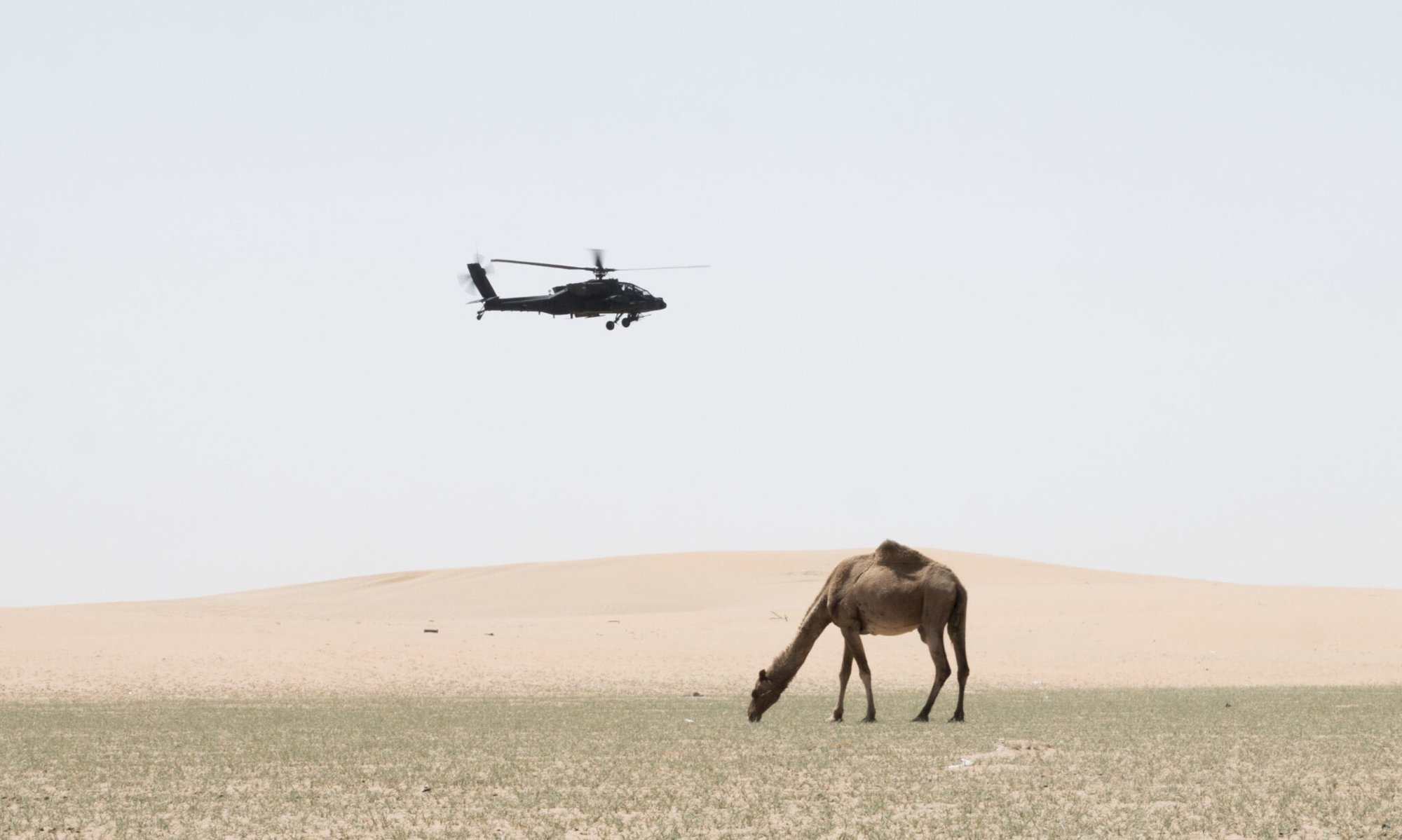 What it Means to be an Apache Pilot, According to 6 Apache Pilots ...