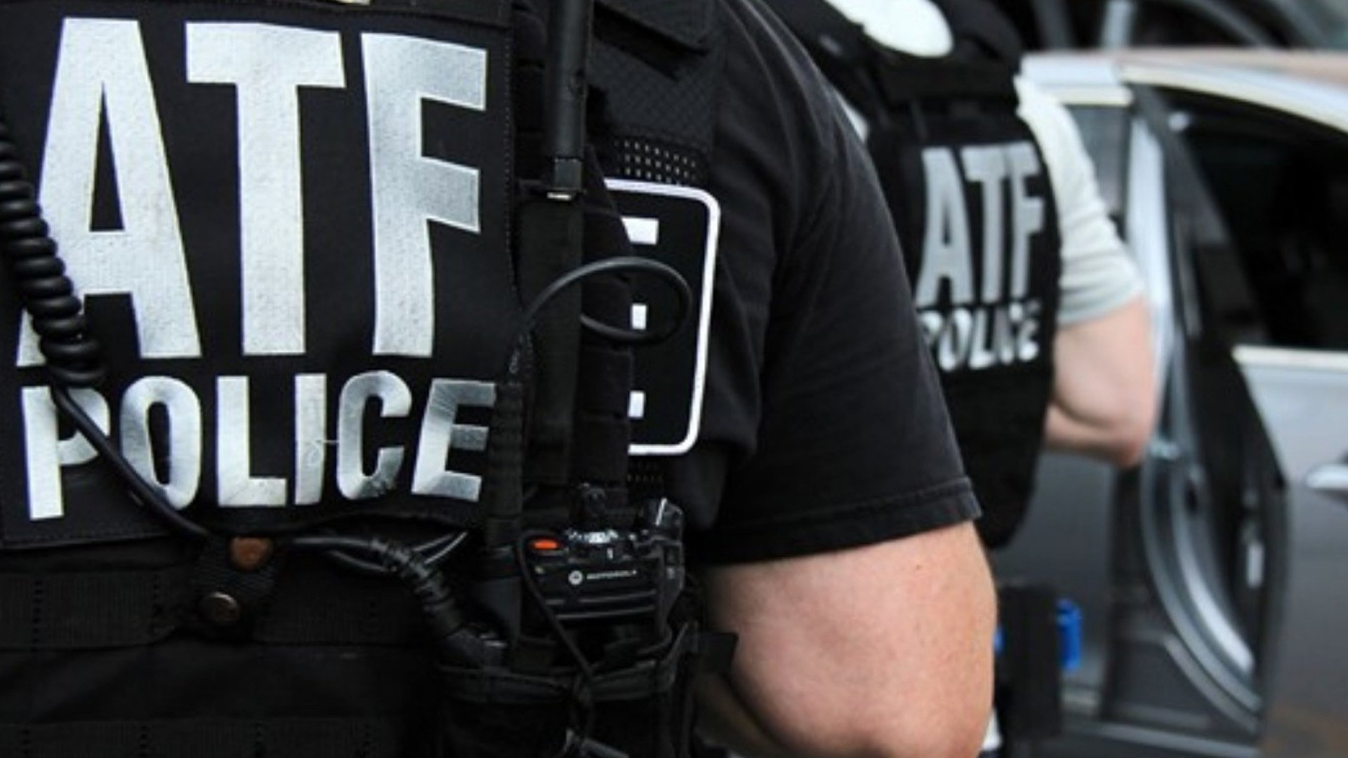 Feds: Pot-Puffing PetSmart Perp With Pink-Trimmed Loot Bag Accidentally ...