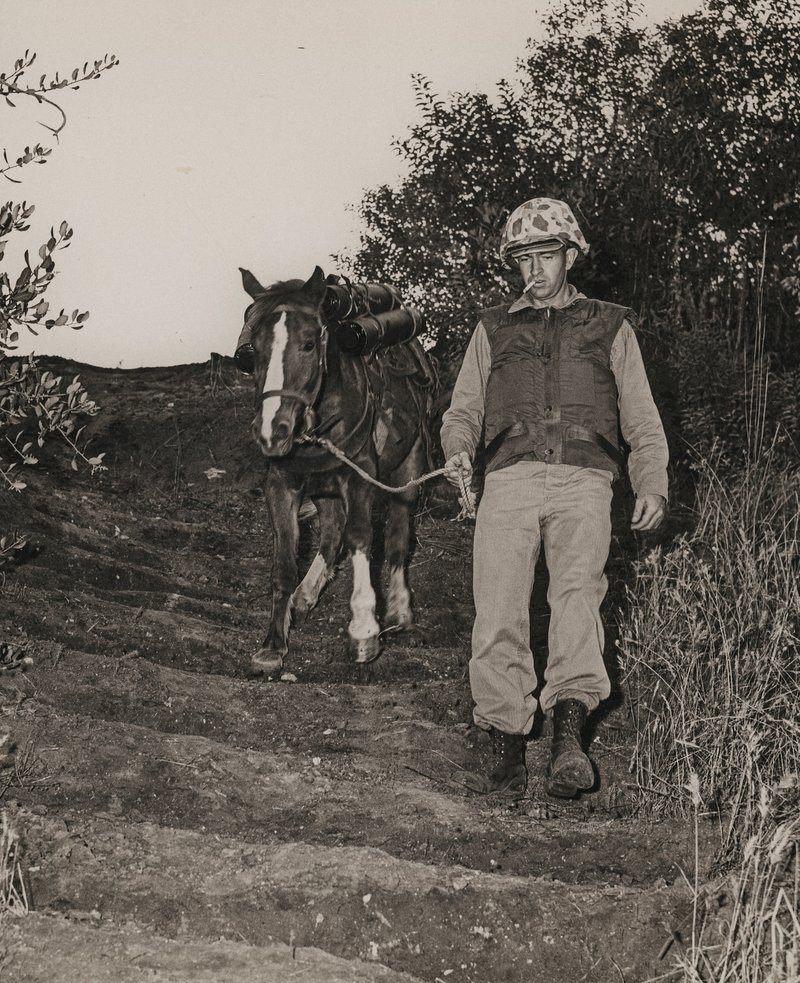 Sgt. Reckless: The Corps’ Beloved Korean War Horse | Coffee or Die