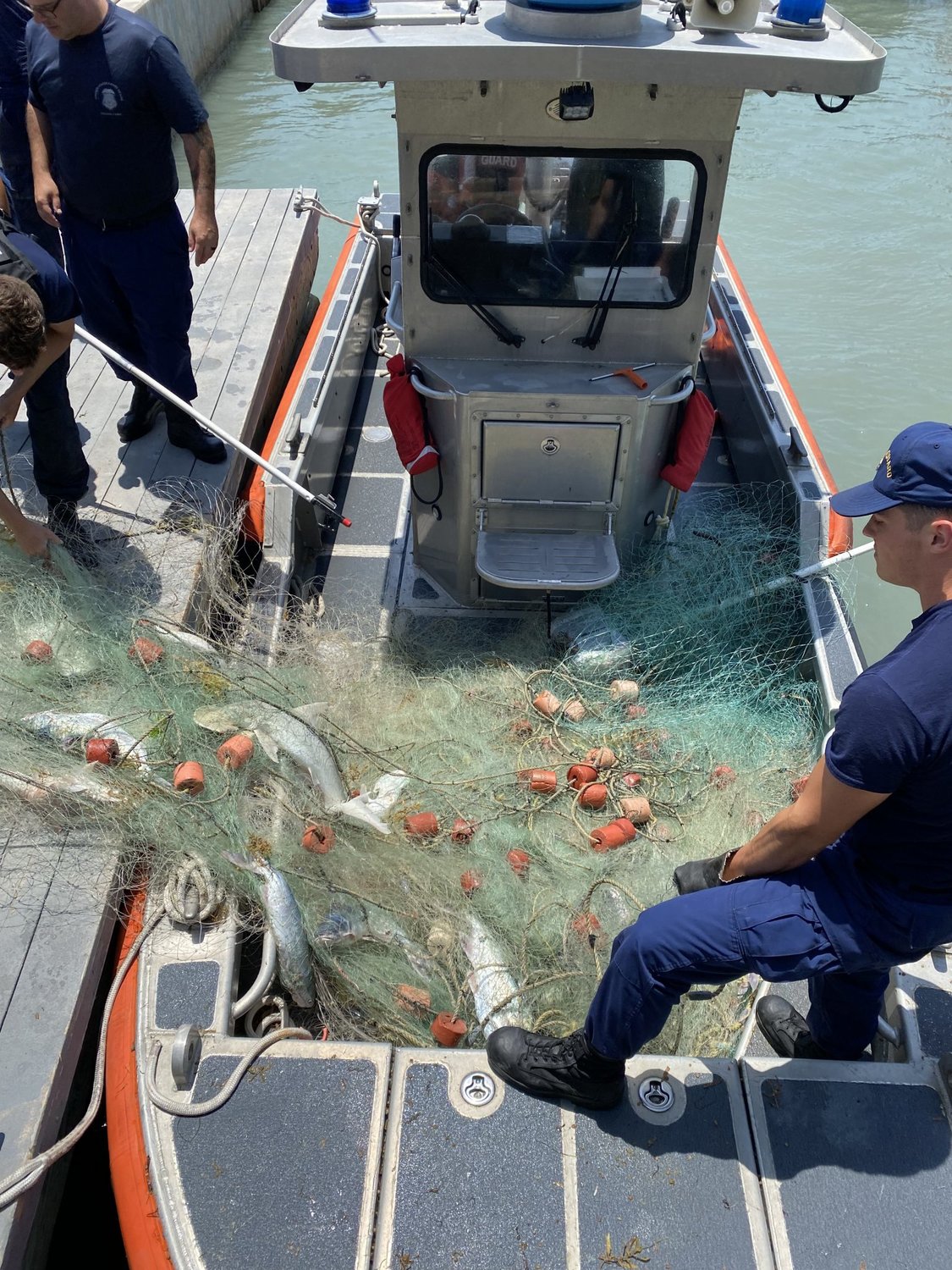 The Coast Guard Race To Rescue Dolphin Trapped in Illegal Fishing Net ...