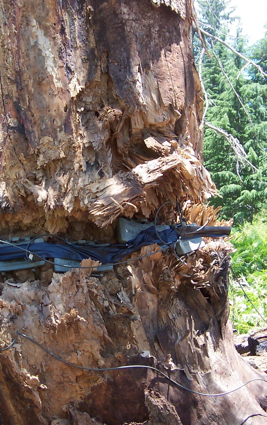 Operation Red Wings Through the Eyes of the Night Stalkers | Coffee or Die