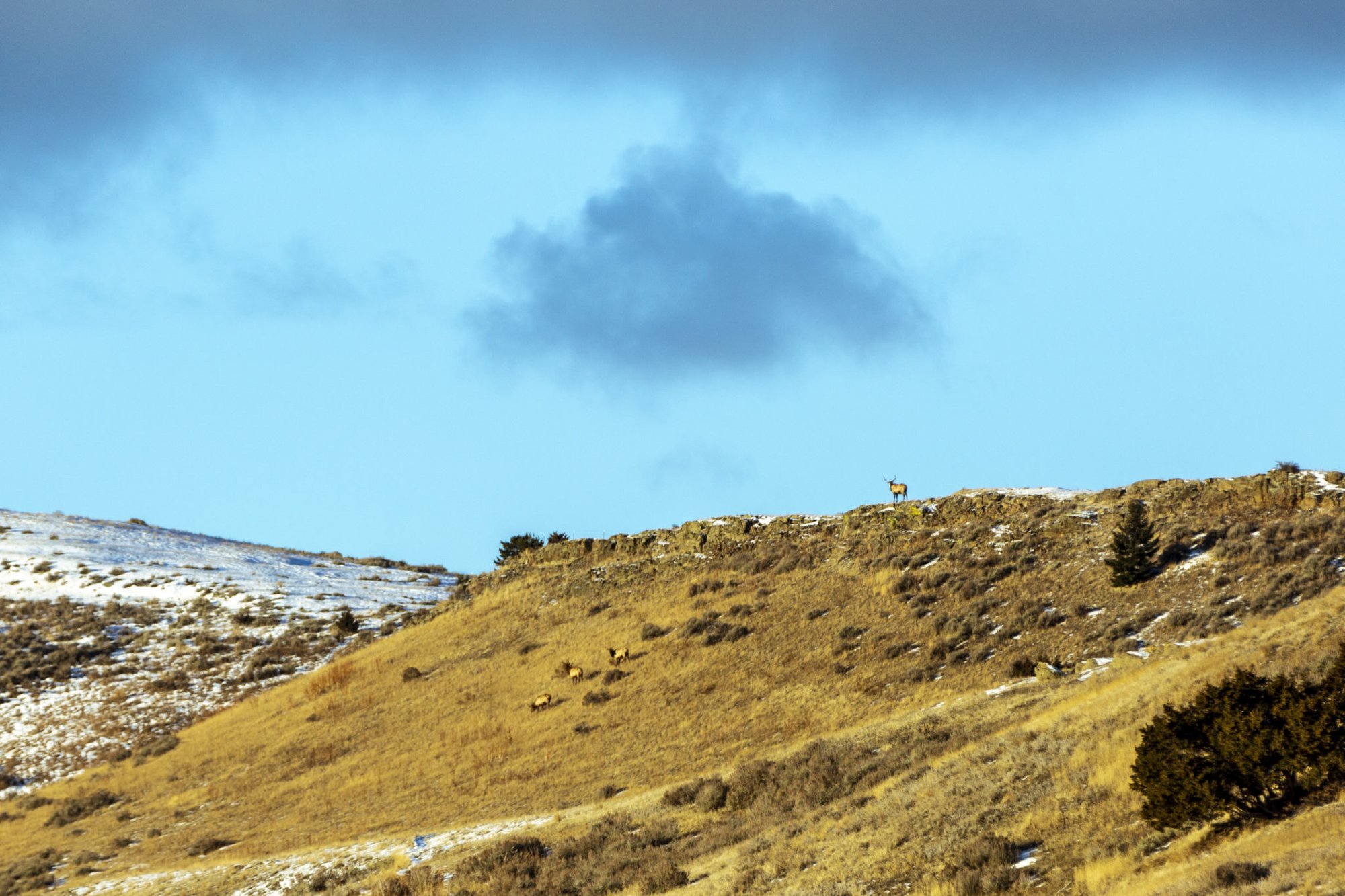 One Marine Corps Veteran’s Struggle to Keep His Family’s Ranch Alive ...
