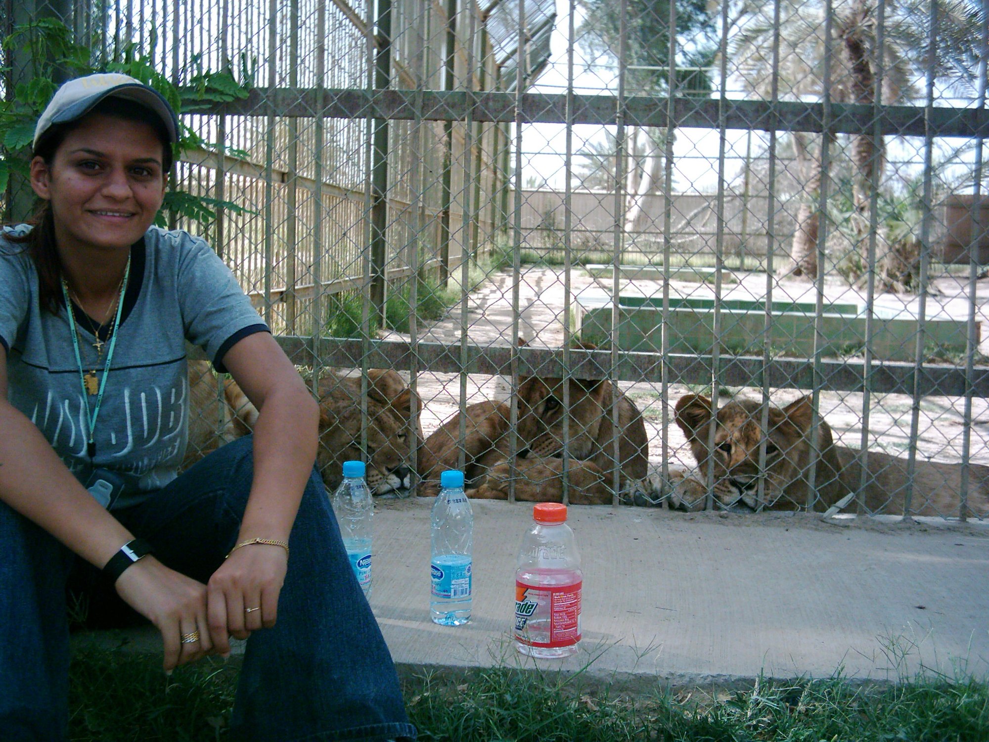 Don’t Feed the Lions: The Unbelievable Rescue at the Baghdad Zoo ...