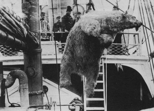 These Rescuers Traveled 1,500 Miles Through the Arctic with 400 ...