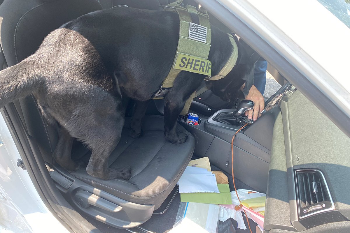 Los Angeles Sheriff’s Newest K9 Takes a Bite Out of Digital Crime ...