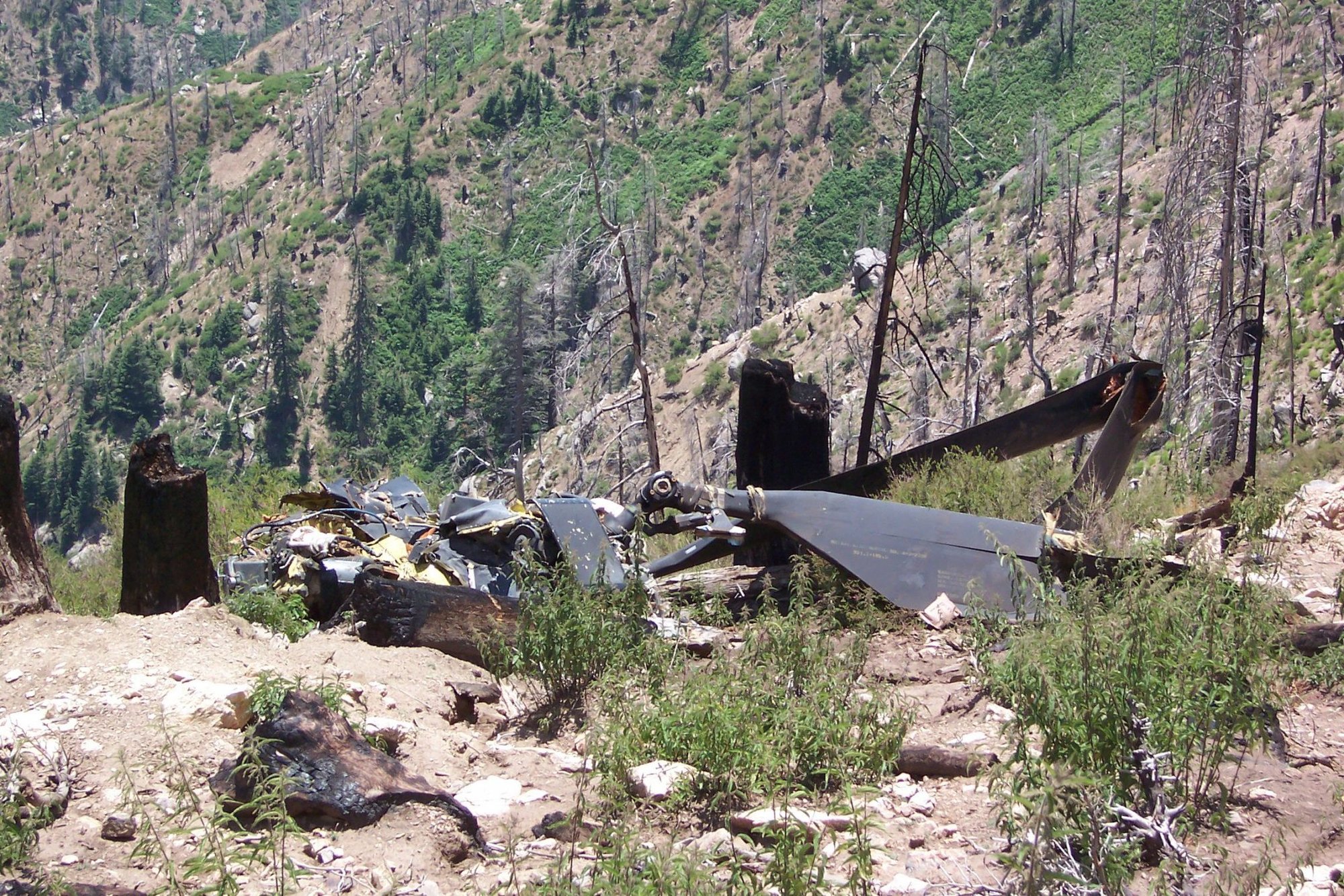 Operation Red Wings Through the Eyes of the Night Stalkers | Coffee or Die