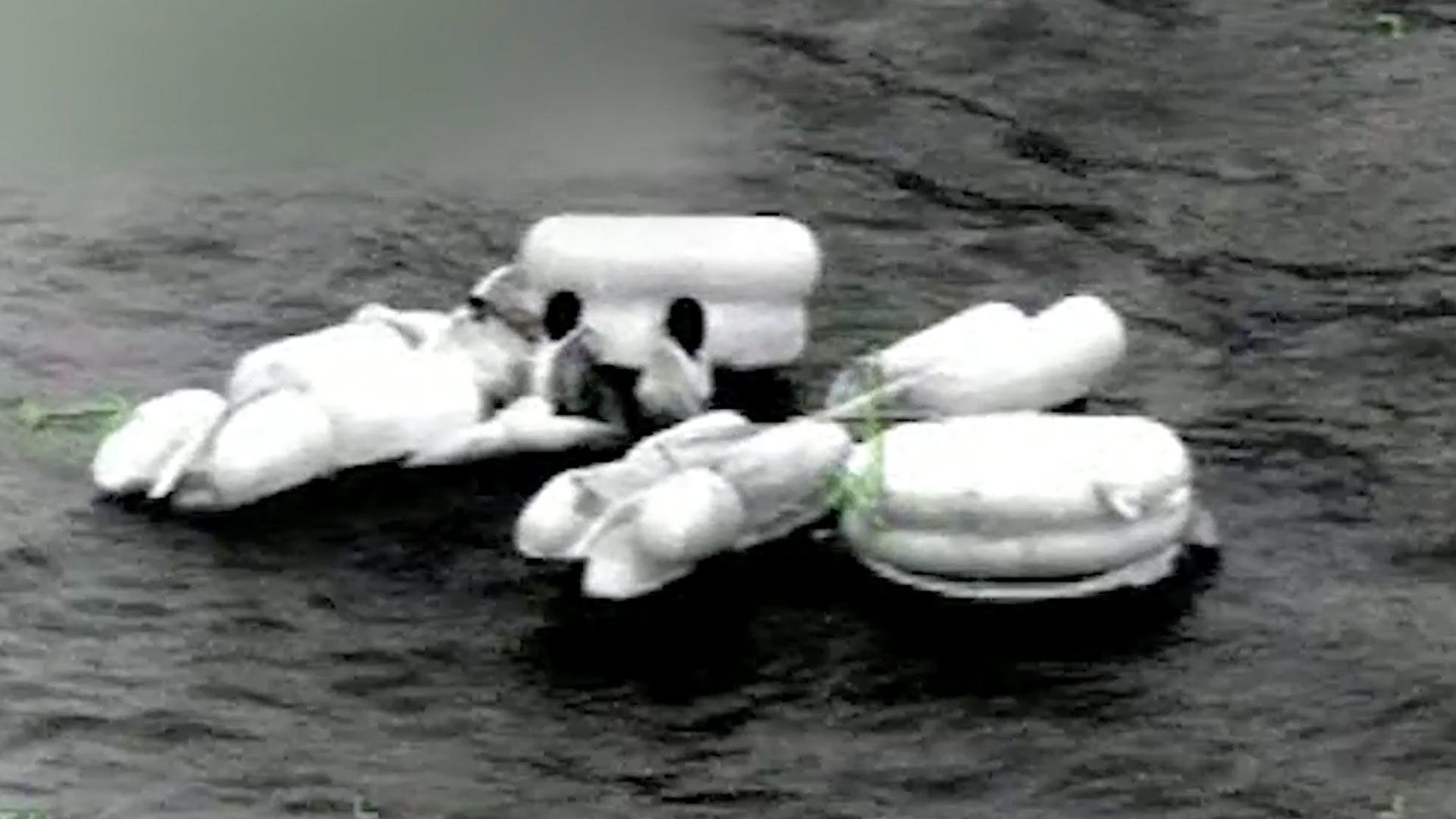 The Distress Phase: Coast Guard Rescuers Rush to Downed Chopper ...