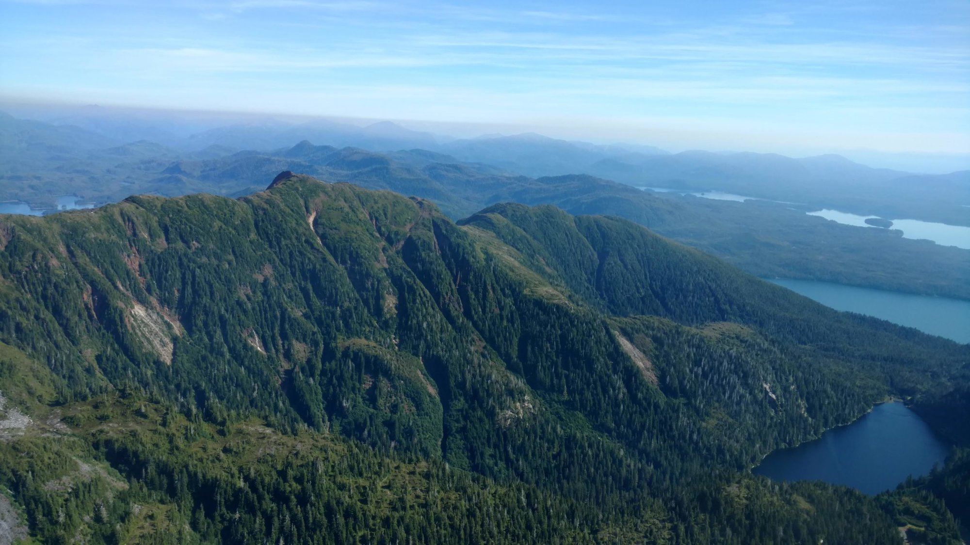 Logging in Alaska: The Complex Battle Waged Over Tongass National ...