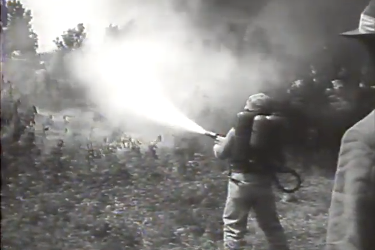 WATCH: Marines Burn a Field of Marijuana With Flamethrowers | Coffee or Die