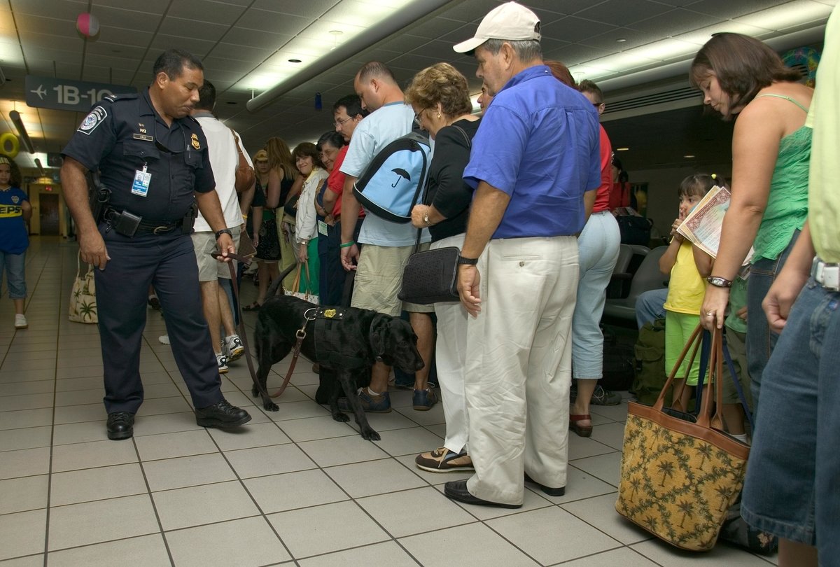 US Customs and Border Protection Braces for International Air Travel ...