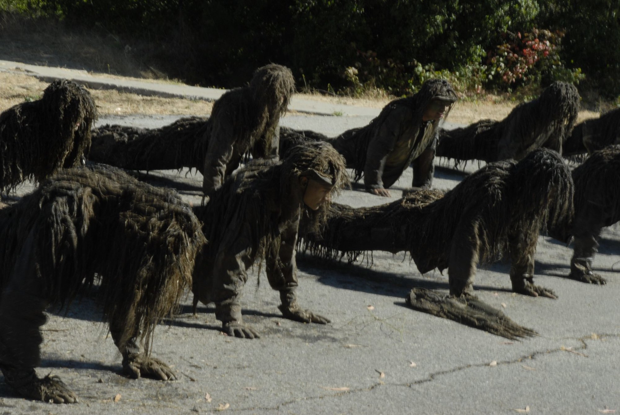 How PIGs Become HOGs — A Visual Journey in Marine Corps Scout Sniper ...