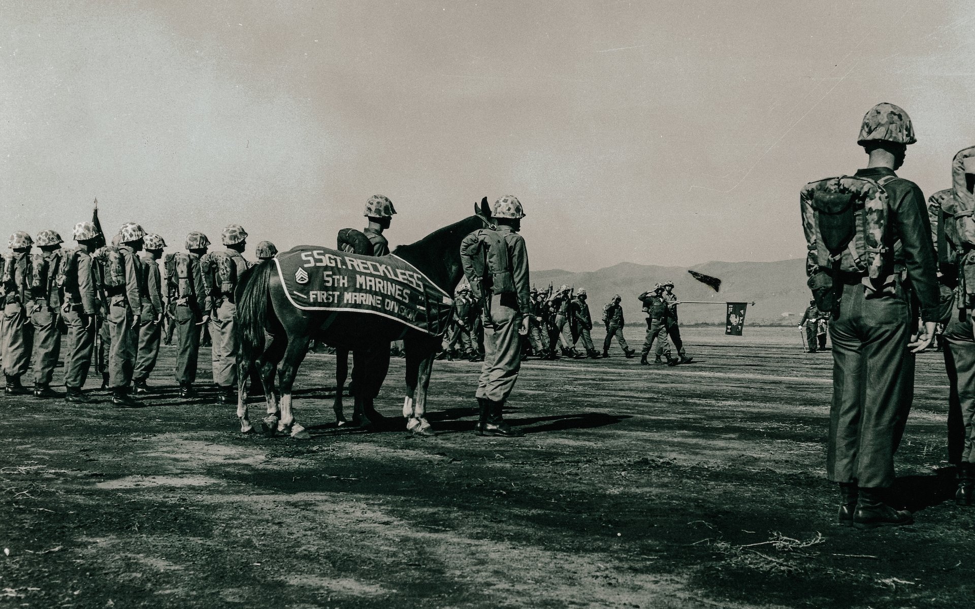 Sgt. Reckless: The Corps’ Beloved Korean War Horse | Coffee or Die