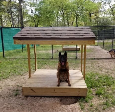 Mission K9 Rescue is Finding Homes for Heroic Dogs | Coffee or Die