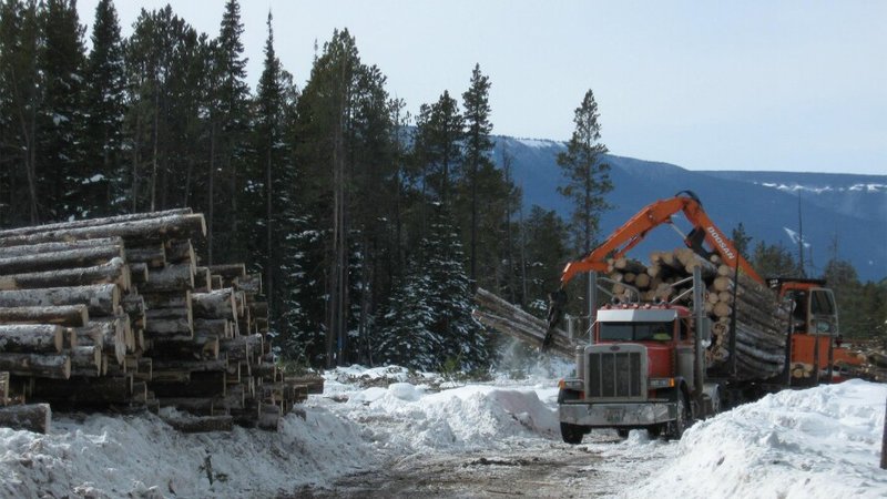 3 Confess To Assaulting Federal Cop on Crow Indian Reservation