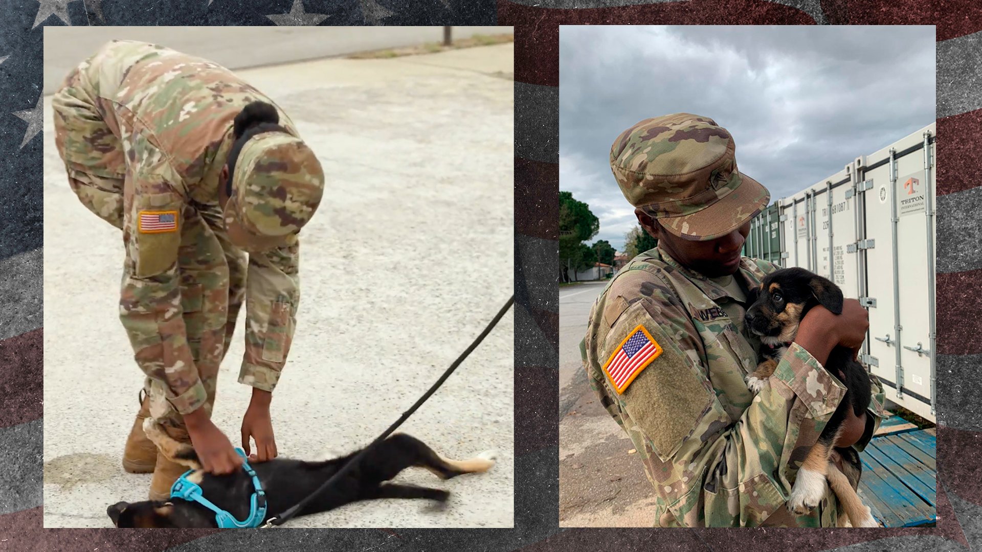 Paws of War Reunites Soldier With Stray Dog From Rotation in Europe ...