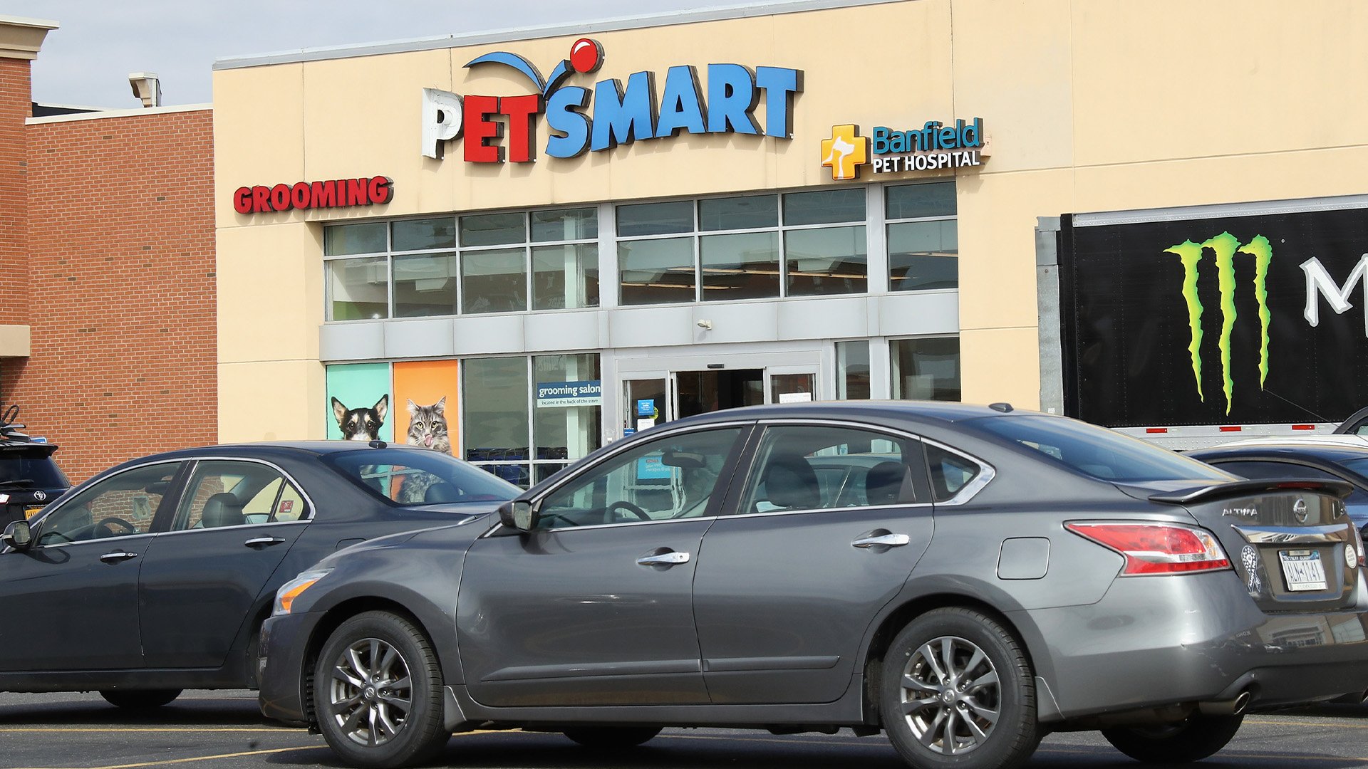 Feds: Pot-Puffing PetSmart Perp With Pink-Trimmed Loot Bag Accidentally ...